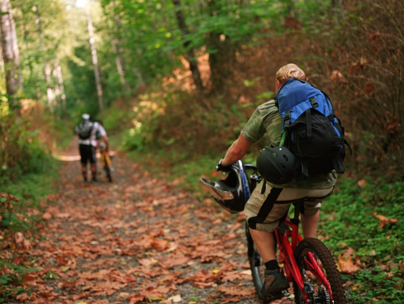 Three Rock - Loop Route 3 | Location | Activeme.ie