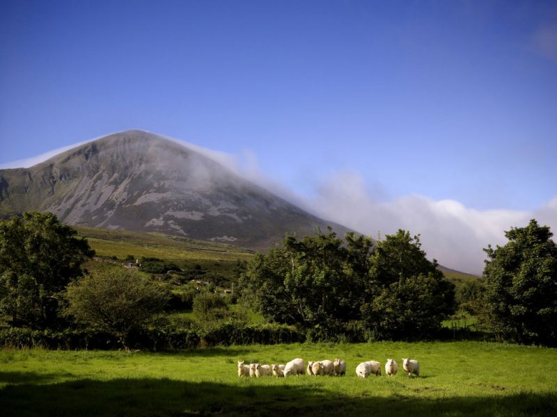Croagh Patrick Mountain Walk and Pilgrimage Path Route Map, Westport ...